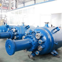 High Pressure Hydrogenation Reactor LEHPHR