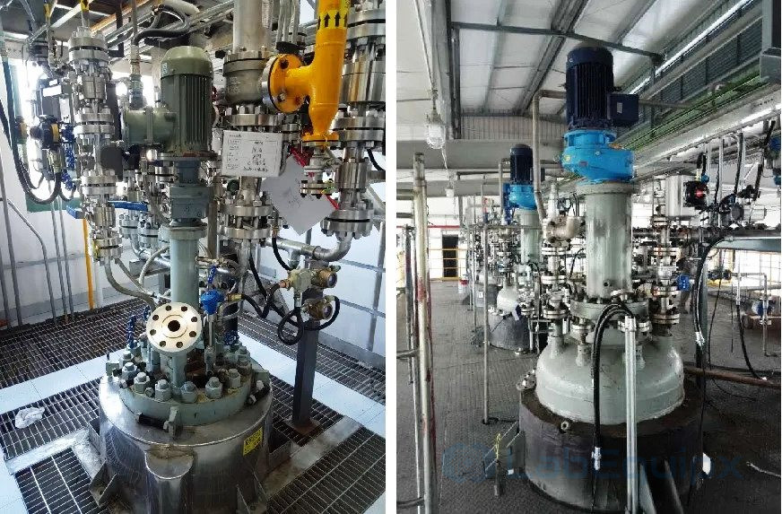 Vertical Stirred Pressure Reactors LEVSPR