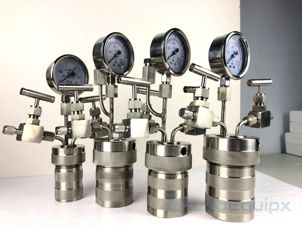 Bench Top Flange Connect Laboratory Pressure Reactor with PTFE liner LEHSR